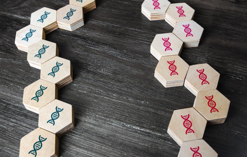 The Role of Genetics in Autism: What We Know So Far | Advanced Physical ...